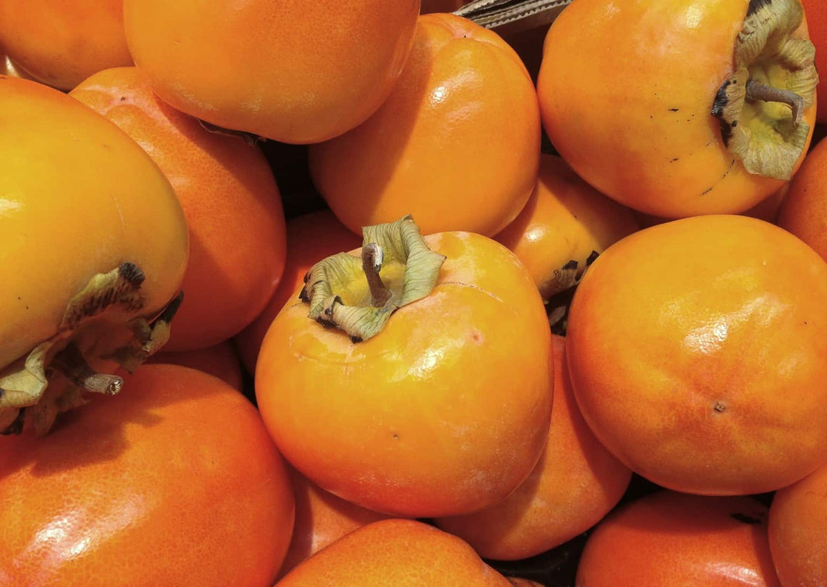 41 Persimmon Recipes to Enjoy – Act One Art