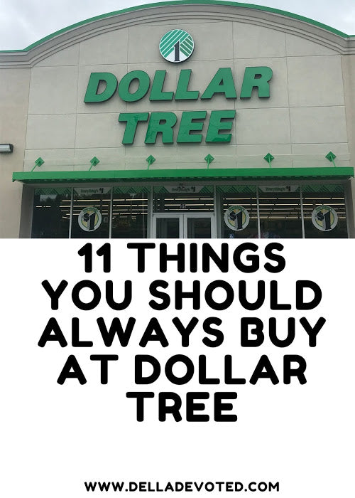 11 Things You Should Always Buy At Dollar Tree – Act One Art